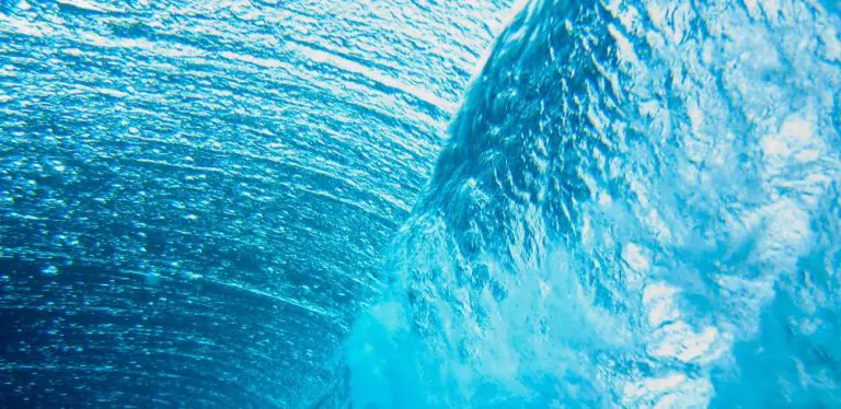 How Ocean Currents Impact Marine Life – Lazy Seas⛱️