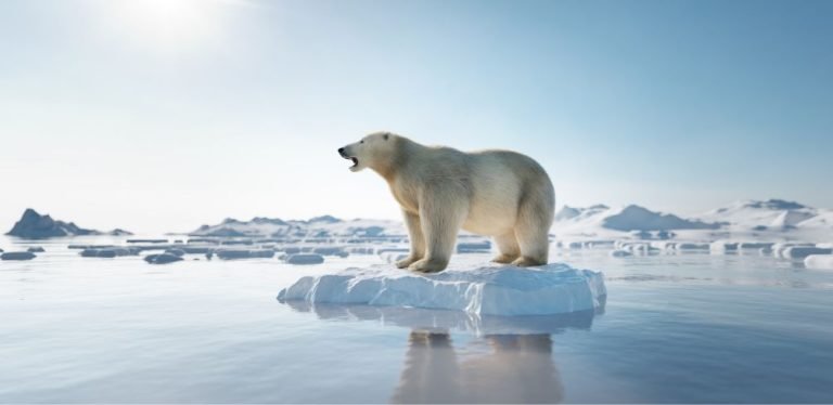 How Temperature Variations Impact Marine Life – Lazy Seas⛱️